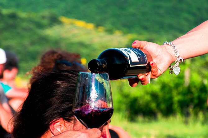 Tour Through the Vineyards and Wine and Olive Oil Tasting in Tuscany - Exploring the Vineyards and Winery
