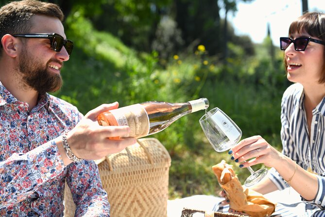 Tour Through the Vineyards and Wine and Olive Oil Tasting in Tuscany - Guest Feedback and Highlights