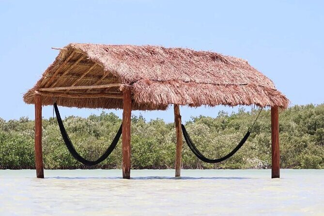 Tour to Agua Azul Island Departure from Merida to Yucatan - Authenticity and Value: Who Will Love This?