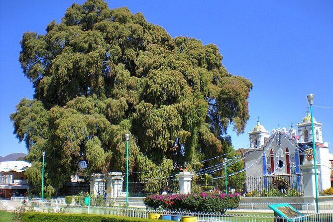 Tour to artisan towns of Oaxaca - FAQ: Your Practical Questions Answered