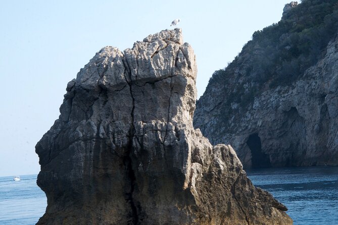 Tour to Baia Di Taormina, Isola Bella and Naxos - Customer Feedback