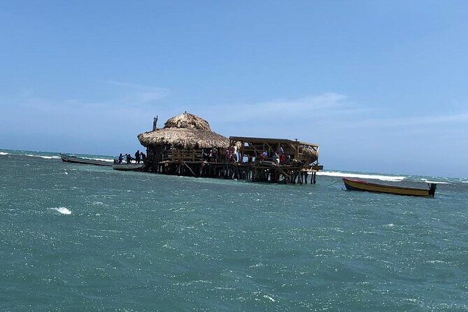 Tour to Black River and YS Falls - FAQ