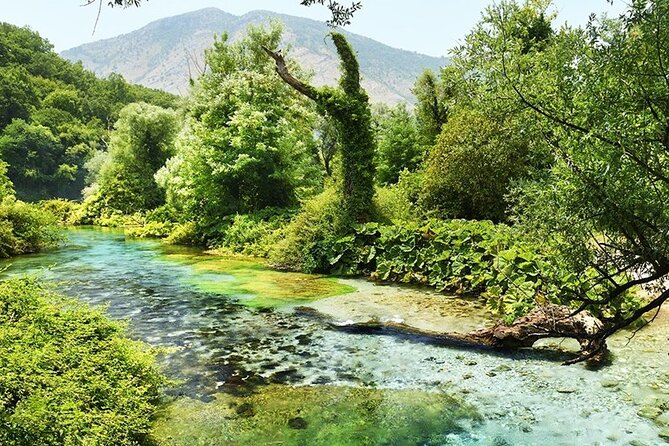 Tour to Butrint Antic City/Blue Eye Spring/Lekursi Castle - Transportation and Accessibility