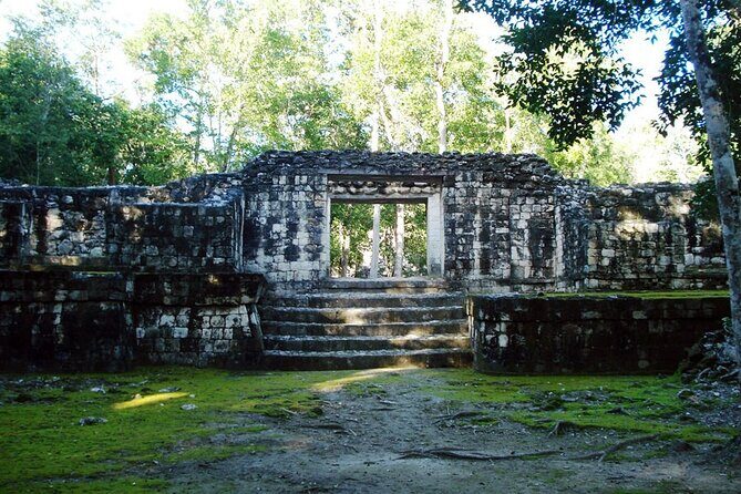 Tour to Calakmul and Balamkú. From Campeche - Who Would Enjoy This Tour?