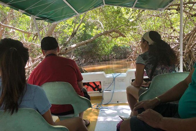 Tour to Celestún - Authenticity and Experience Quality