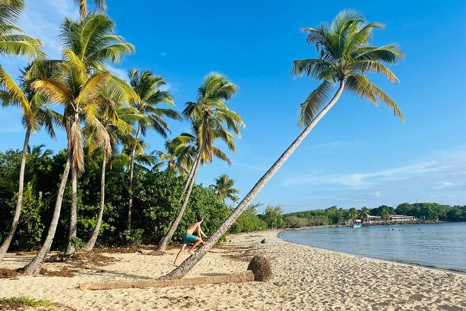 Tour to discover the paradisiacal beaches of the South (Salines) - An In-Depth Look at the Itinerary
