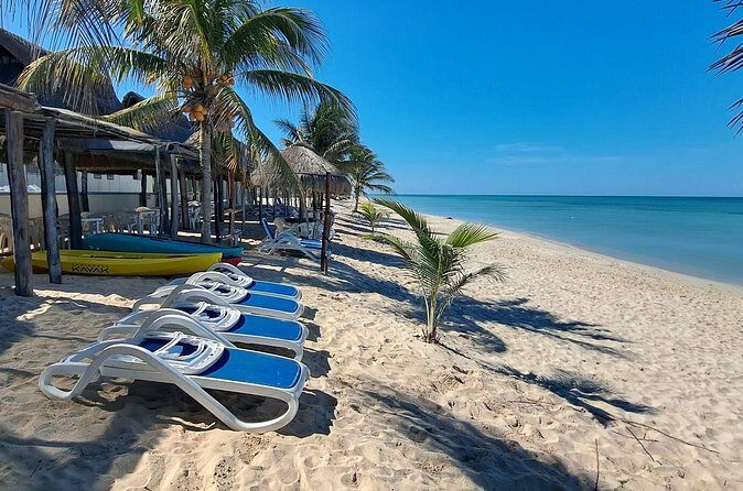 Tour to Edzna and Tortugas Bay - Final Thoughts