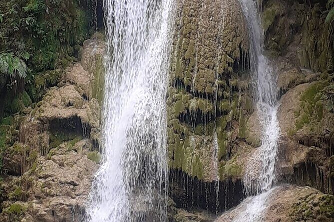 Tour to El Limón waterfall with lunch included from Saman special for cruisers - Introduction: What You Can Expect from This Tour