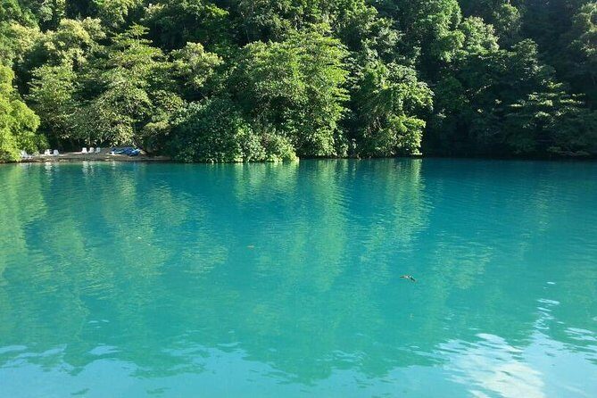 Tour to Fern Gully and Konoko Falls and Park - Who Will Appreciate This Tour?