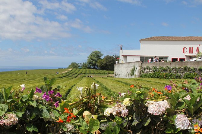 Tour to Furnas and Terra Nostra Garden - Full Day - Traditional Cozido Lunch