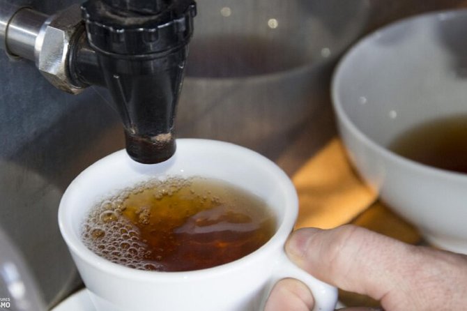 Tour to Furnas and Terra Nostra Garden - Full Day - Exploring Gorreana Tea Plantation