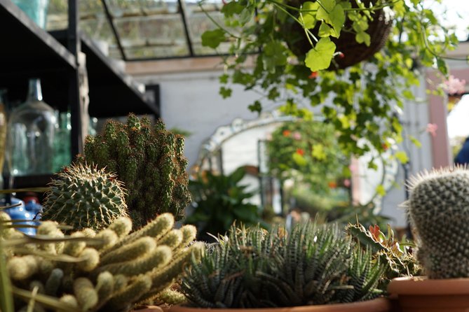 Tour to Gardenia Shevardnadze Flea Market and Tbilisi Old Town - Final Thoughts