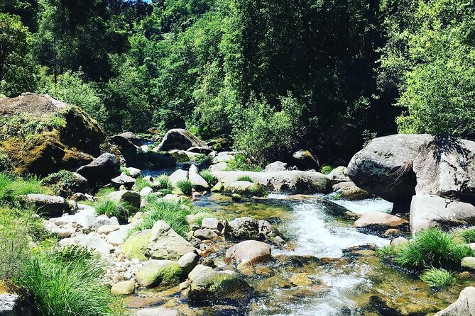 Tour to Gerês in 4x4 full day with option of SUP Tour - Exploring the Gerês in 4x4: An Adventure for Nature Lovers
