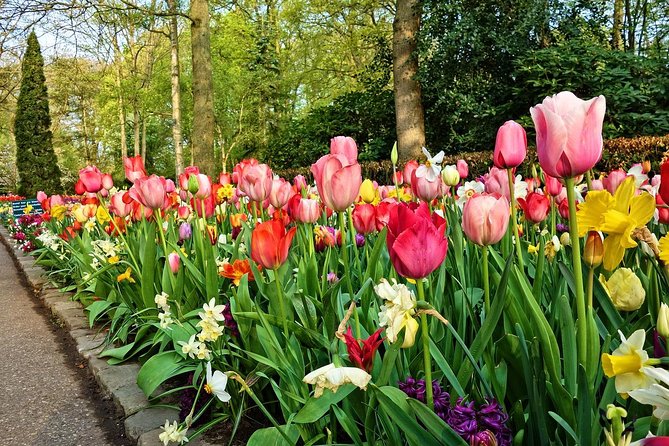 Tour to Giethoorn and Keukenhof Tulip Fields from Amsterdam - What the Reviews Say