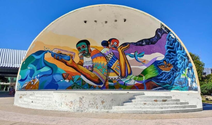 Tour to Holbox with food and transportation from Cancun, Playa del Carmen, and Tulum - Final Thoughts: Is This Tour for You?