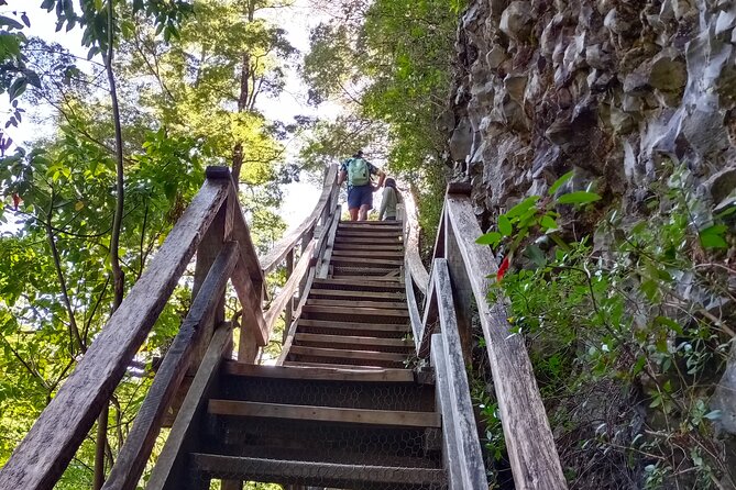 Tour to Huilo Huilo From Pucón, Villarrica - Schedule and Availability