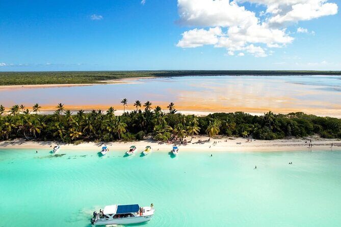 Tour to Isla Saona From Punta Cana with Transportation and Lunch - Key Points