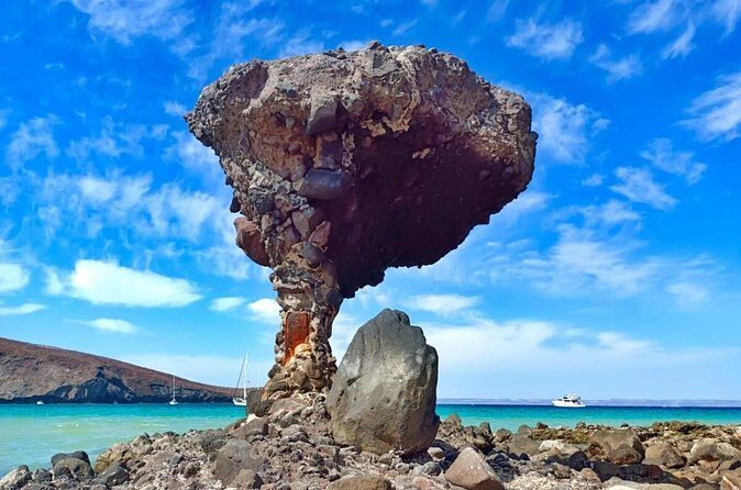 Tour to La Paz Playa Balandra Malecón and Todos Santos - The Sum Up