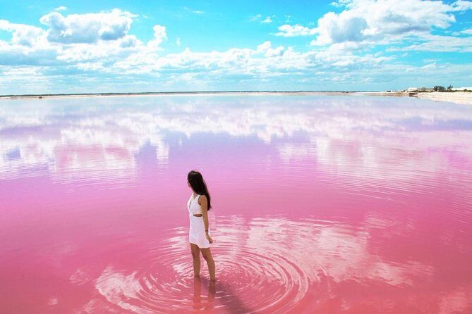 Tour to Las Coloradas Pink Waters and Boat Ride in Rio Lagartos with Lunch. - A Closer Look at the Itinerary