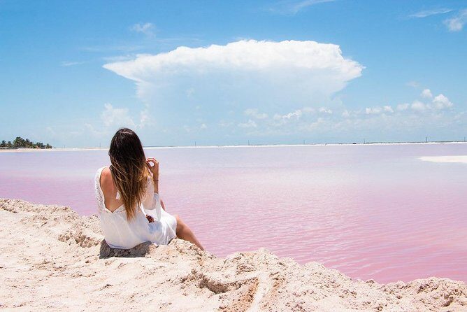 Tour to Las Coloradas Pink Waters and Boat Ride in Rio Lagartos with Lunch. - Final Thoughts: Who Will Enjoy This Tour?