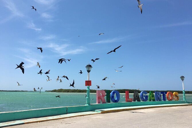 Tour to Las Coloradas Pink Waters and Boat Ride in Rio Lagartos with Lunch. - FAQ Section
