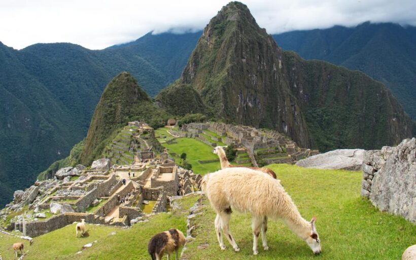 TOUR TO MACHU PICCHU FULL DAY (CIRCUIT 4 + HUCHUY PICCHU) - Final Thoughts: Who Is This Tour Best For?