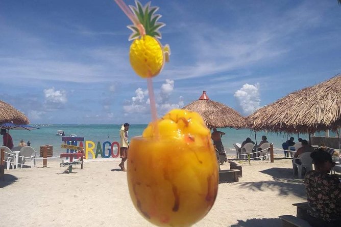 Tour to Maragogi AL - Transportation Details