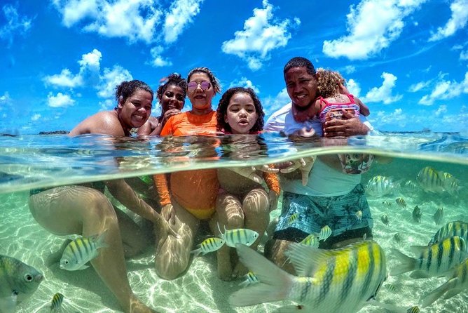 Tour to Maragogi AL - Tour Features