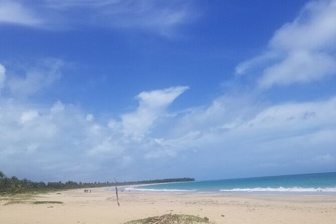 Tour to Montana Redonda and Emerald Coast Beach - The Sum Up