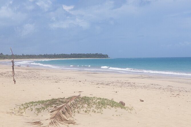 Tour to Montana Redonda and Emerald Coast Beach - FAQ