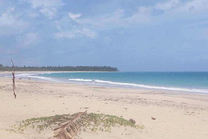 Tour to Montana Redonda (Round Montain) & Costa Esmeralda Beach - Final Thoughts