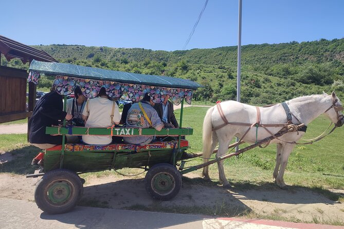 Tour to Old Orhei &Cave Monastery &Cricova cellar tour tasting - Who Will Love This Tour?