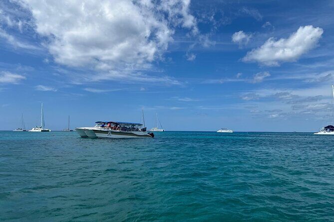 Tour to Saona Island with Lunch and Transportation - The Real Experience, According to Travelers