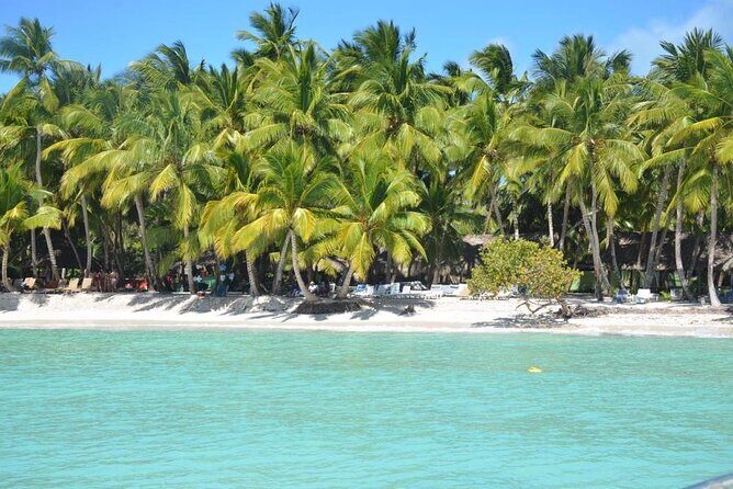 Tour to Saona Island with Lunch and Transportation - Frequently Asked Questions