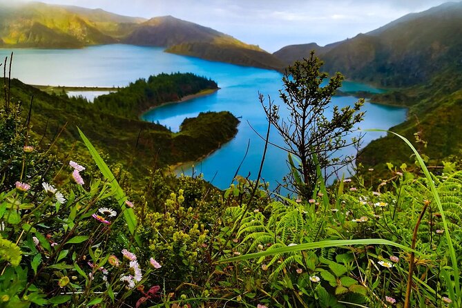 Tour to Sete Cidades, Lagoa Do Fogo and Furnas - Praise for the Tour Guides