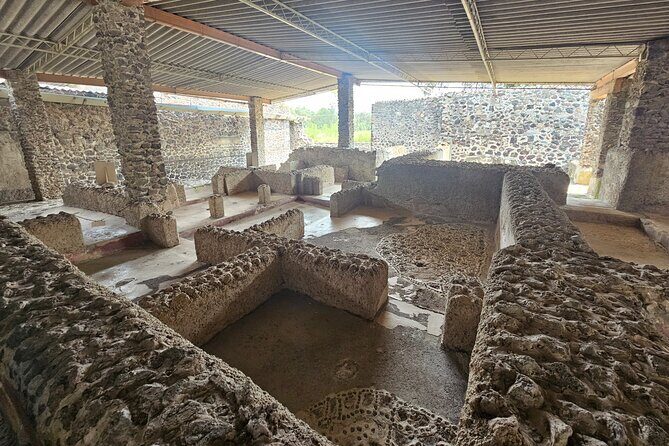 Tour to Teotihuacan the city of the gods - The Pickup and Transportation