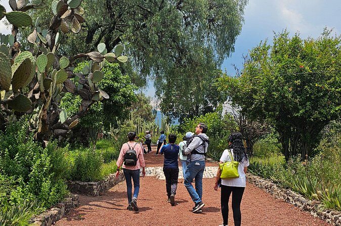 Tour to Teotihuacan the city of the gods - Lunch and Free Time
