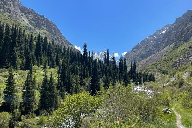 Tour to the Ala Archa National Park - FAQ