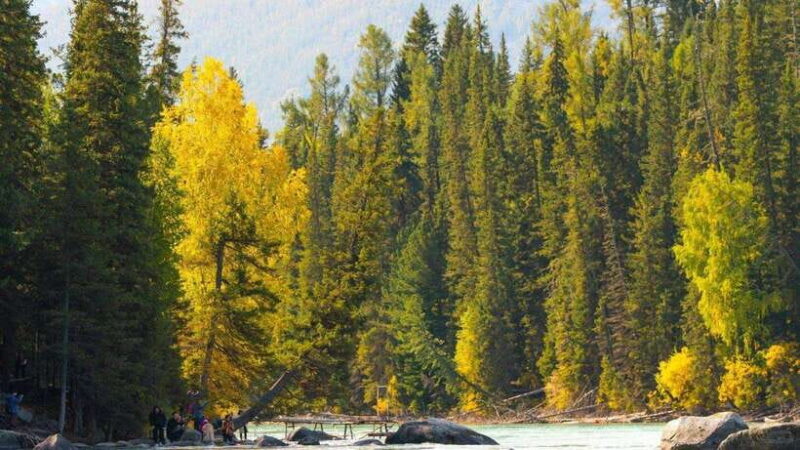 Tour to the Altai's Heavenly Land:Switzerland of the East - The Final Days: Nature and History