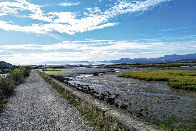 Tour to the Anchovies Factory and Santoña Marshes with Tasting - Who Will Love This Tour?