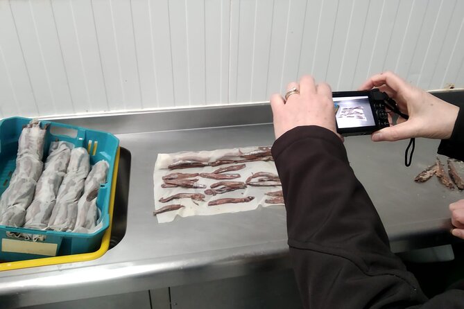 Tour to the Anchovies Factory and Santoña Marshes with Tasting - Final Thoughts