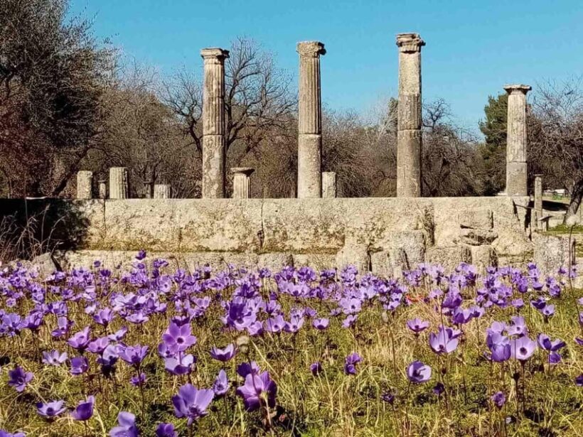 Tour to the archaeological site of Olympia by an archaeologist of Italian descent - Key Points