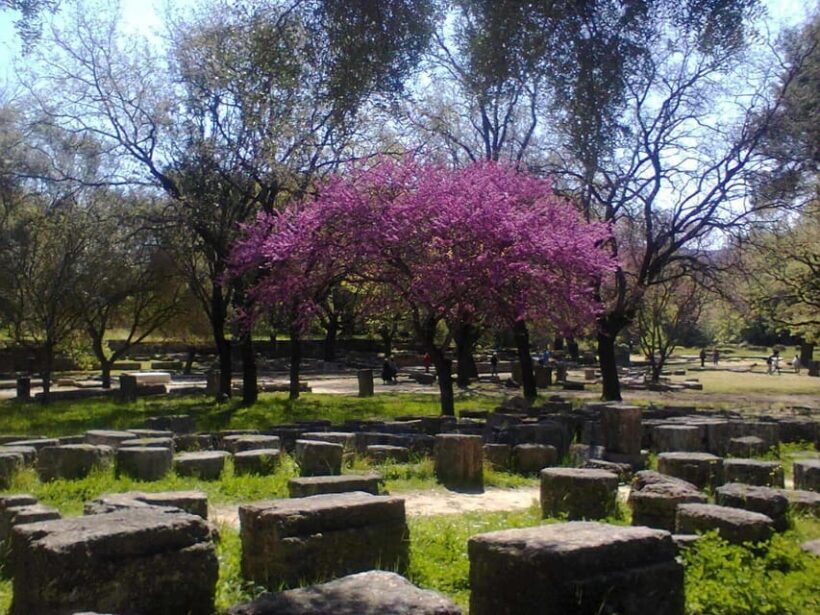 Tour to the archaeological site of Olympia by an archaeologist of Italian descent - Analyzing the Value and Practical Details