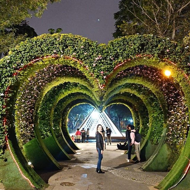 Tour to the magical water circuit with dinner and dance show - The Sum Up: A Fun and Flavorful Evening for All