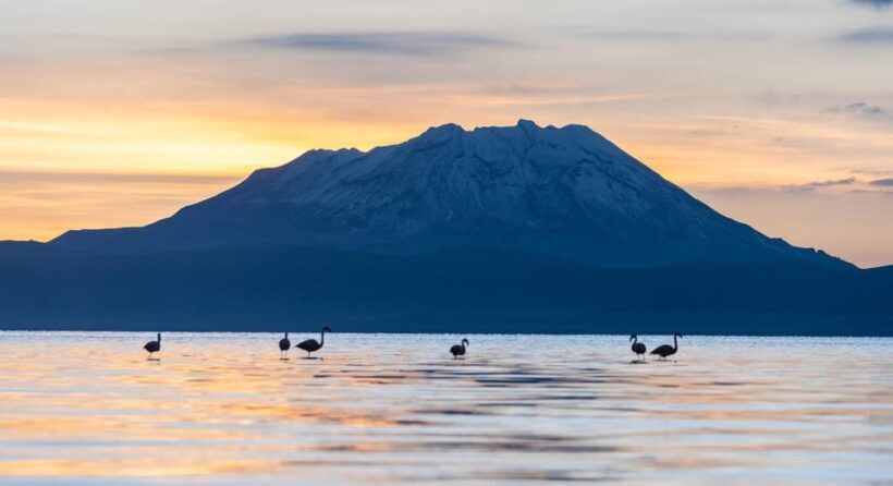 Tour to the Salinas Lagoon and National Reserve in Arequipa - Key Points