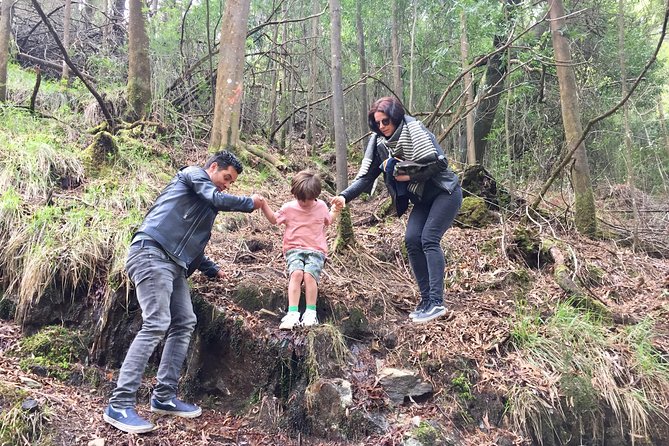 Tour to the Waterfalls in 4x4 full day - Who Should Book This Tour?