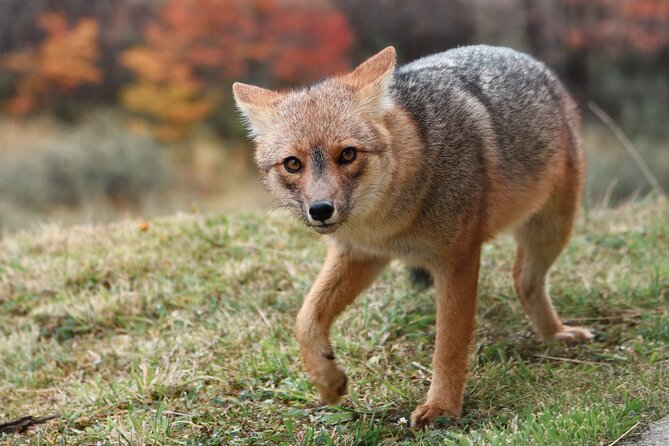 Tour to Tierra Del Fuego National Park From Ushuaia - Tour Inclusions and Exclusions