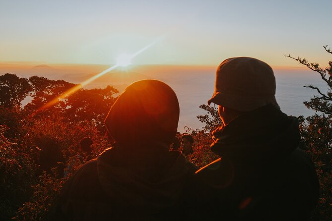 Tour to Tierra Del Fuego National Park From Ushuaia - Customer Feedback and Concerns