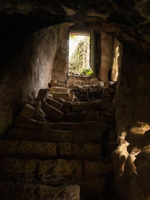 Tour tra i Templi dell'Olio e gli Olivi Patriarchi - Key Points