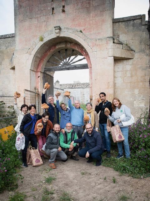 Tour tra i Templi dell'Olio e gli Olivi Patriarchi - Exploring Matera’s Countryside and Cultural Heart